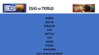 Nueva Dispositiva de Las 10 Tribus De Israel.pptx