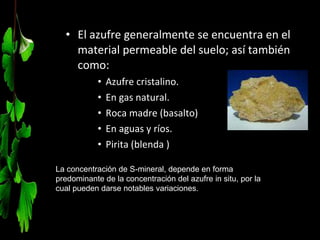 Asimilación de Azufre | PPT