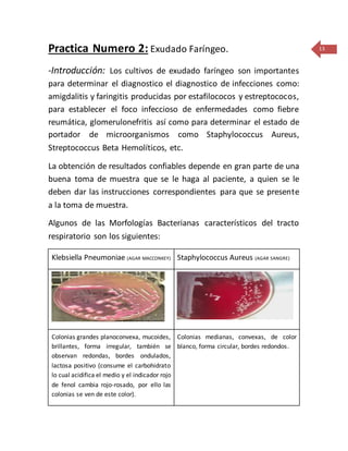 Practicas del Laboratorio | DOCX