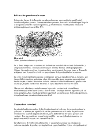 Lesiones intestinales | DOC