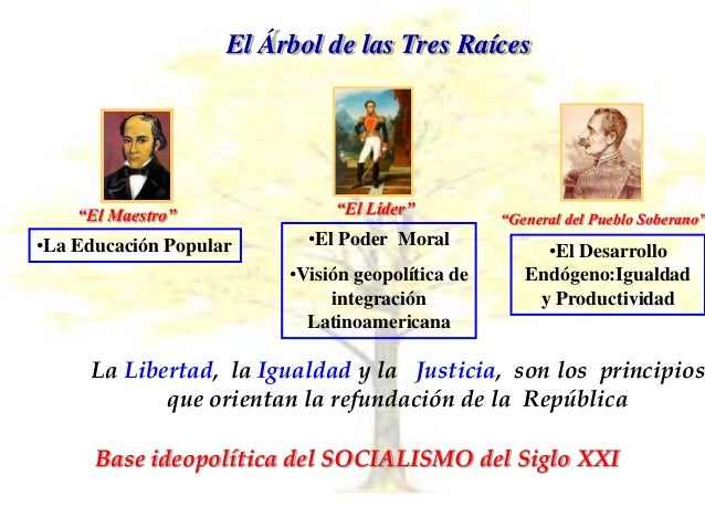 El arbol de las 7 raices - Imagui