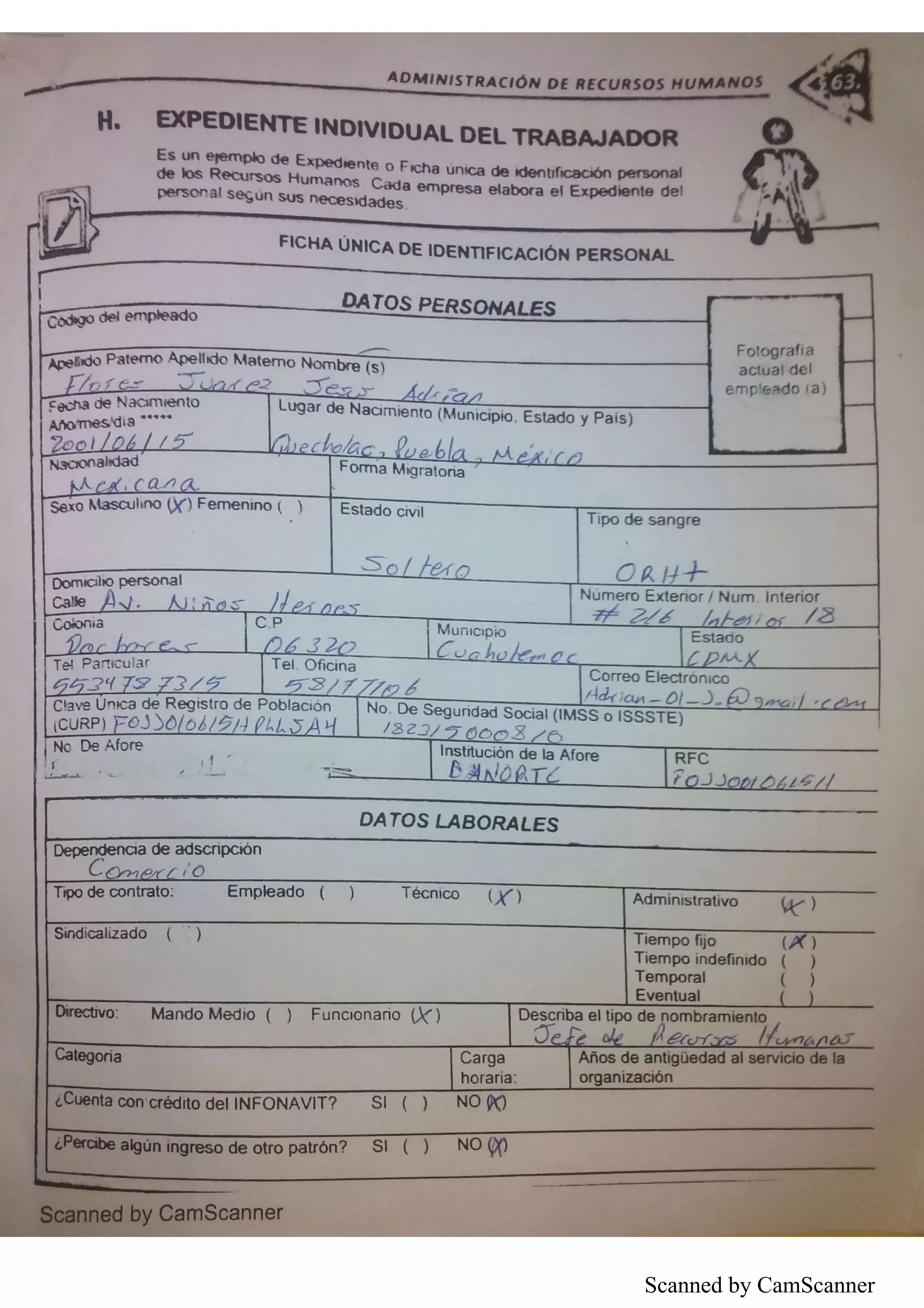 CETIS 3 - ADMINISTRACION DE RECURSOS HUMANOS | PDF