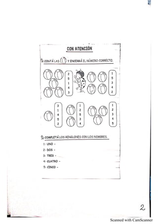 Cuadernillo de Actividades | PDF