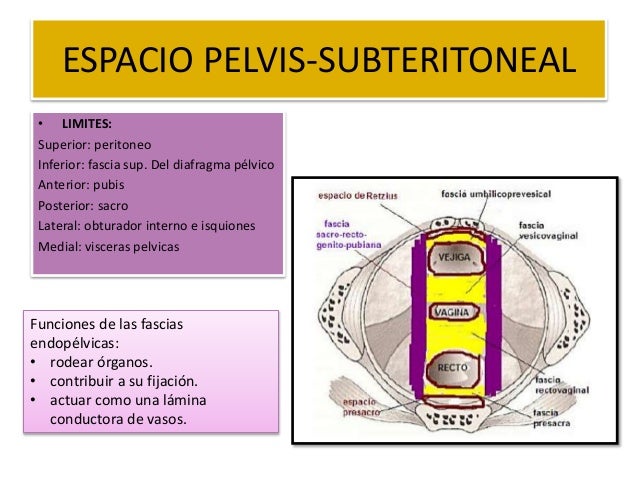 ESPACIO PELVIS SUBPERITONEAL O PELVISVICERAL, PERINE DIVISION Y PLANOS