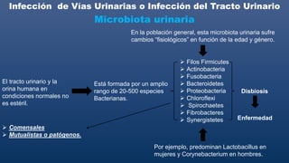 Infección de Vías Urinarias o Infección del Tracto Urinario (IVU o ITU ...