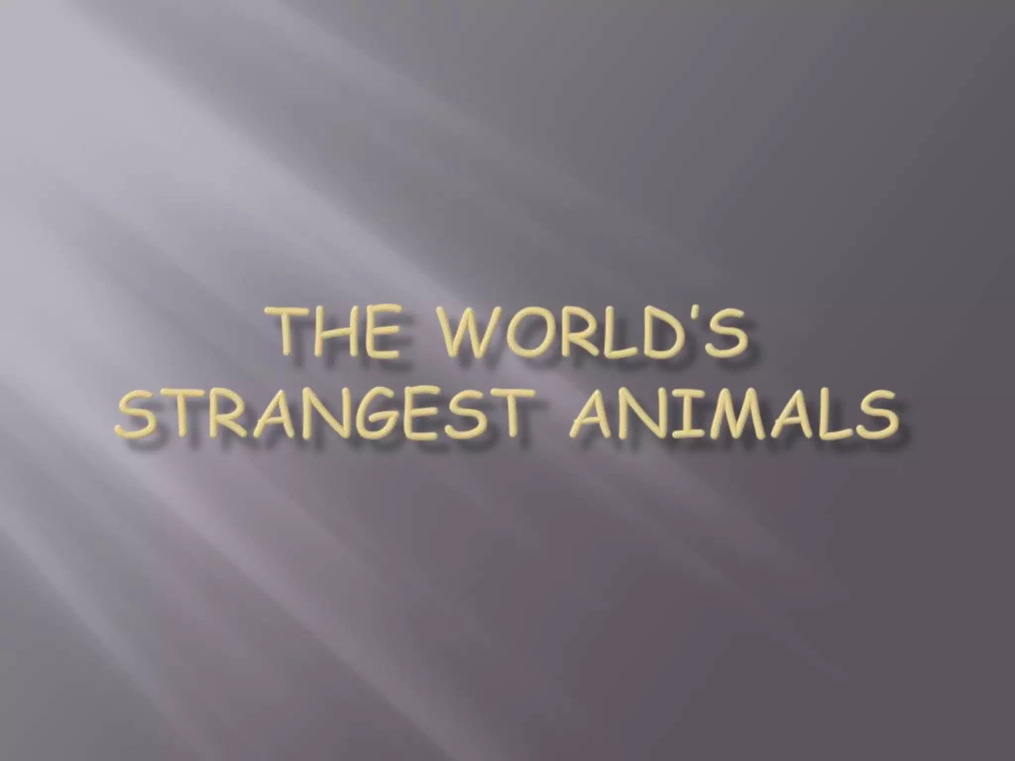 Weird Animals | PPTX