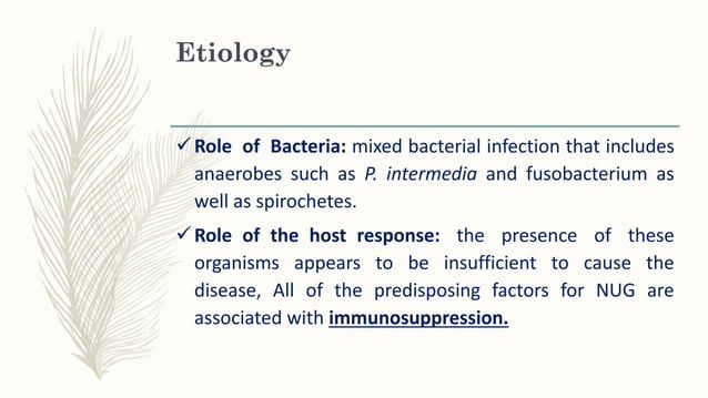 (Nug) and (nup) | PDF | Dental Health | Diseases and Conditions