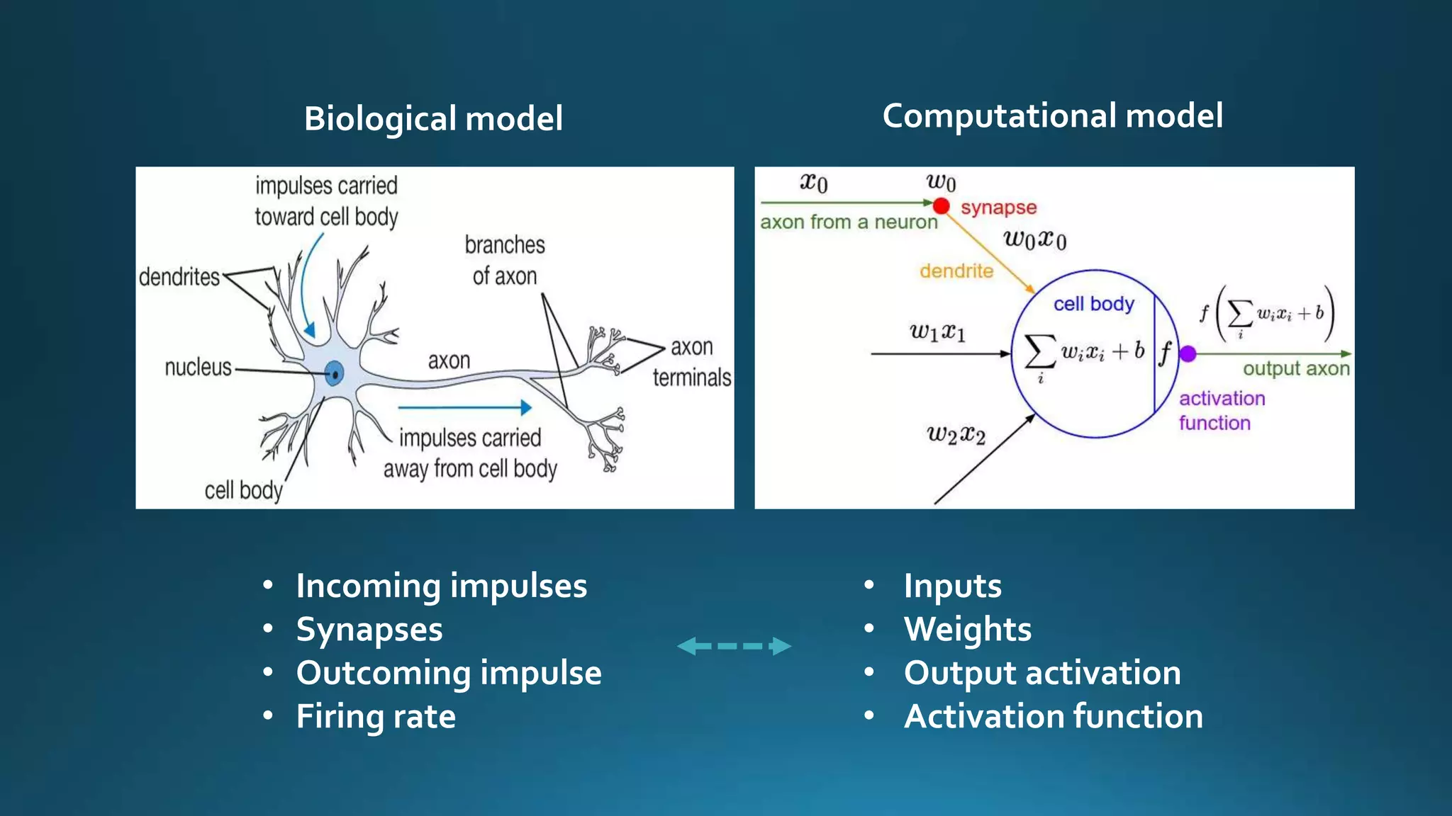 Introduction To Neural Networks And Deep Learning From Scratch Pptx Computing Technology
