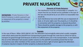 Nuisance | PPTX