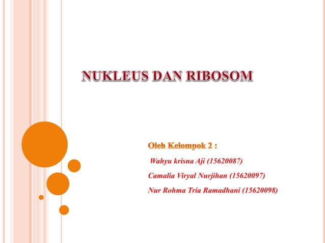 Nukleus dan ribosom | PPTX