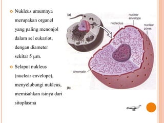 Nukleus dan ribosom | PPTX
