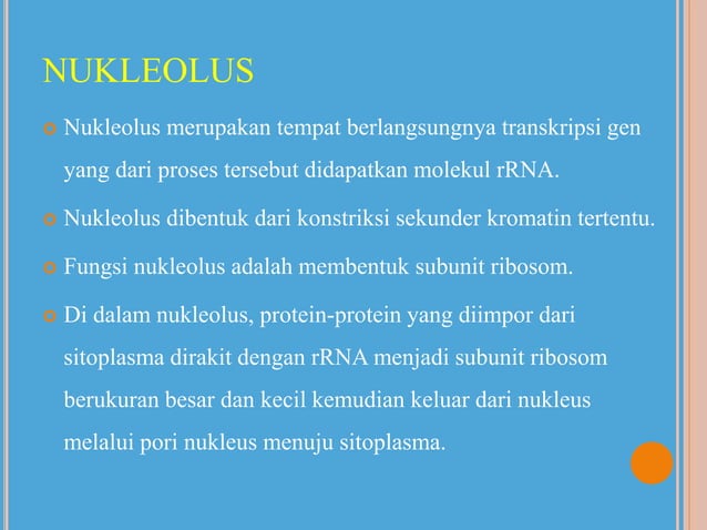Nukleus dan ribosom | PPTX