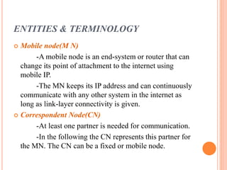 entities terminology | PPTX