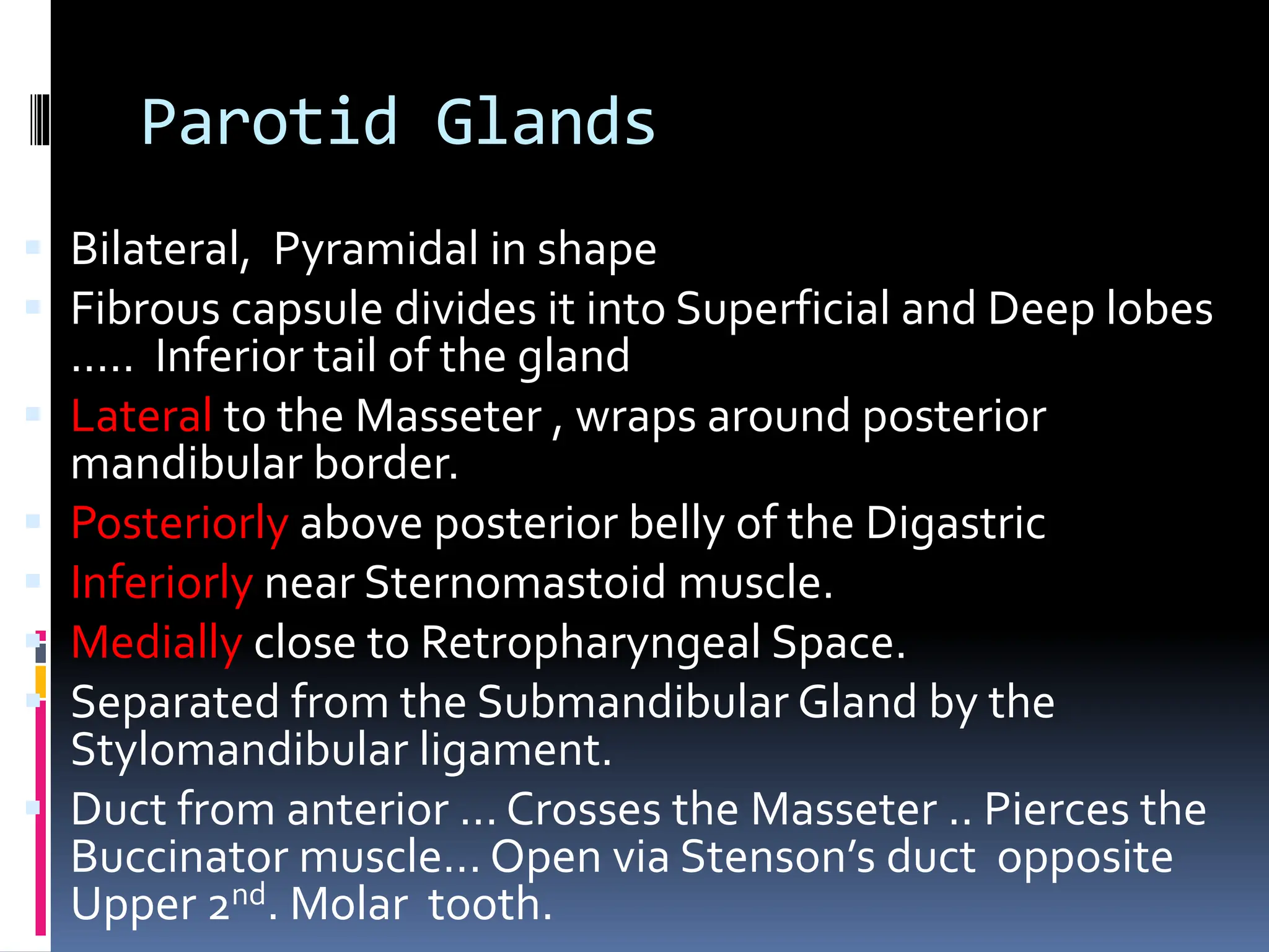 salivary gland 1 , Salivary glands 2100 | PPT