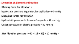 null-1.pptx about laboratory tests results | PPTX