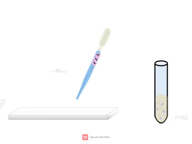 Wet mount and hanging drop methods. | PDF | Physics | Science