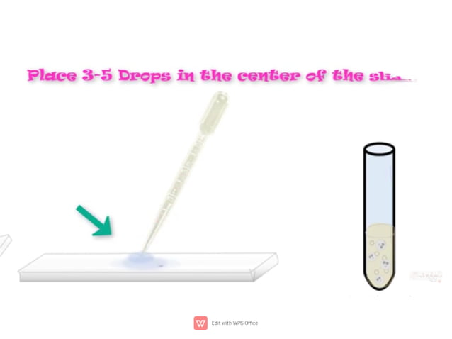 Wet mount and hanging drop methods. | PDF | Physics | Science
