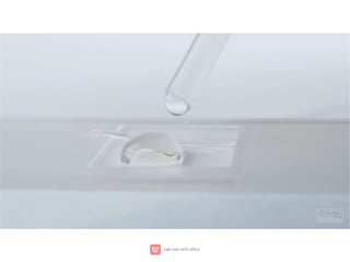 Wet mount and hanging drop methods. | PDF