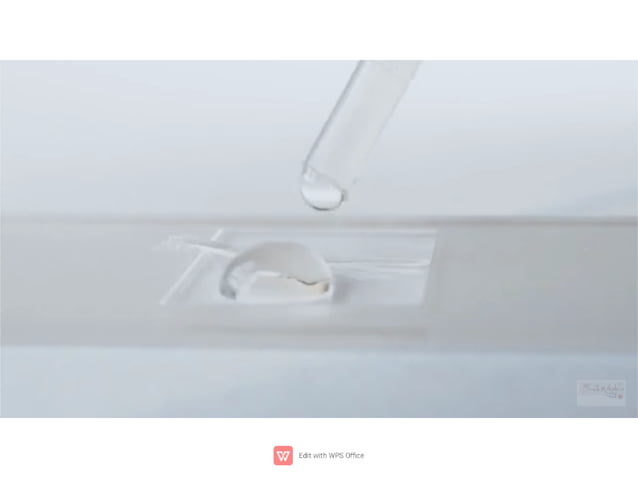 Wet mount and hanging drop methods. | PDF | Physics | Science