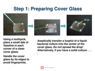 Wet mount and hanging drop methods. | PDF