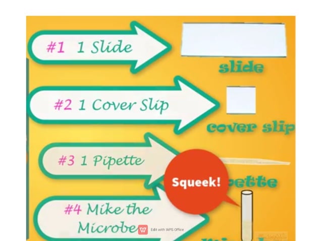 Wet mount and hanging drop methods. | PDF | Physics | Science