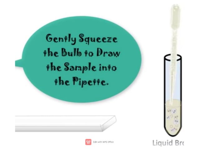 Wet mount and hanging drop methods. | PDF | Physics | Science