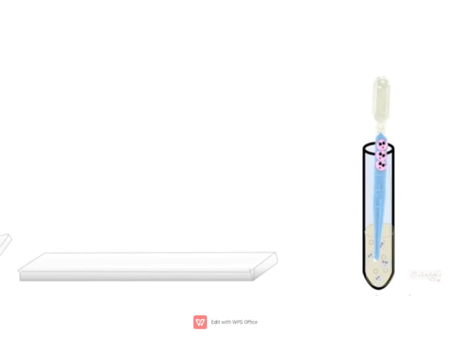 Wet mount and hanging drop methods. | PDF | Physics | Science