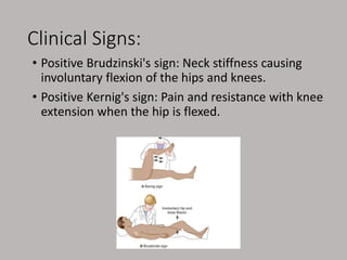 Meningococcal Meningoencephalitis overview | PPT