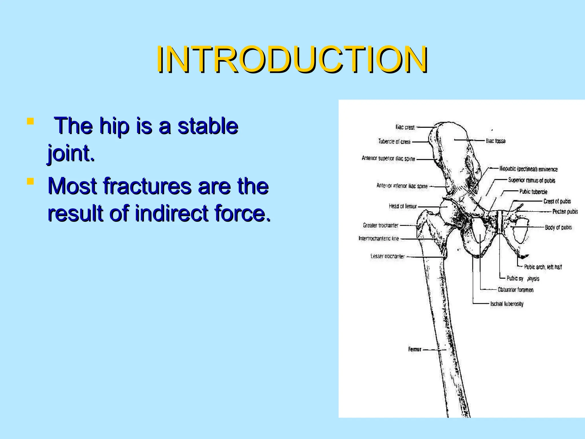 fracture neck of femur and trochanteric fracture | PPT