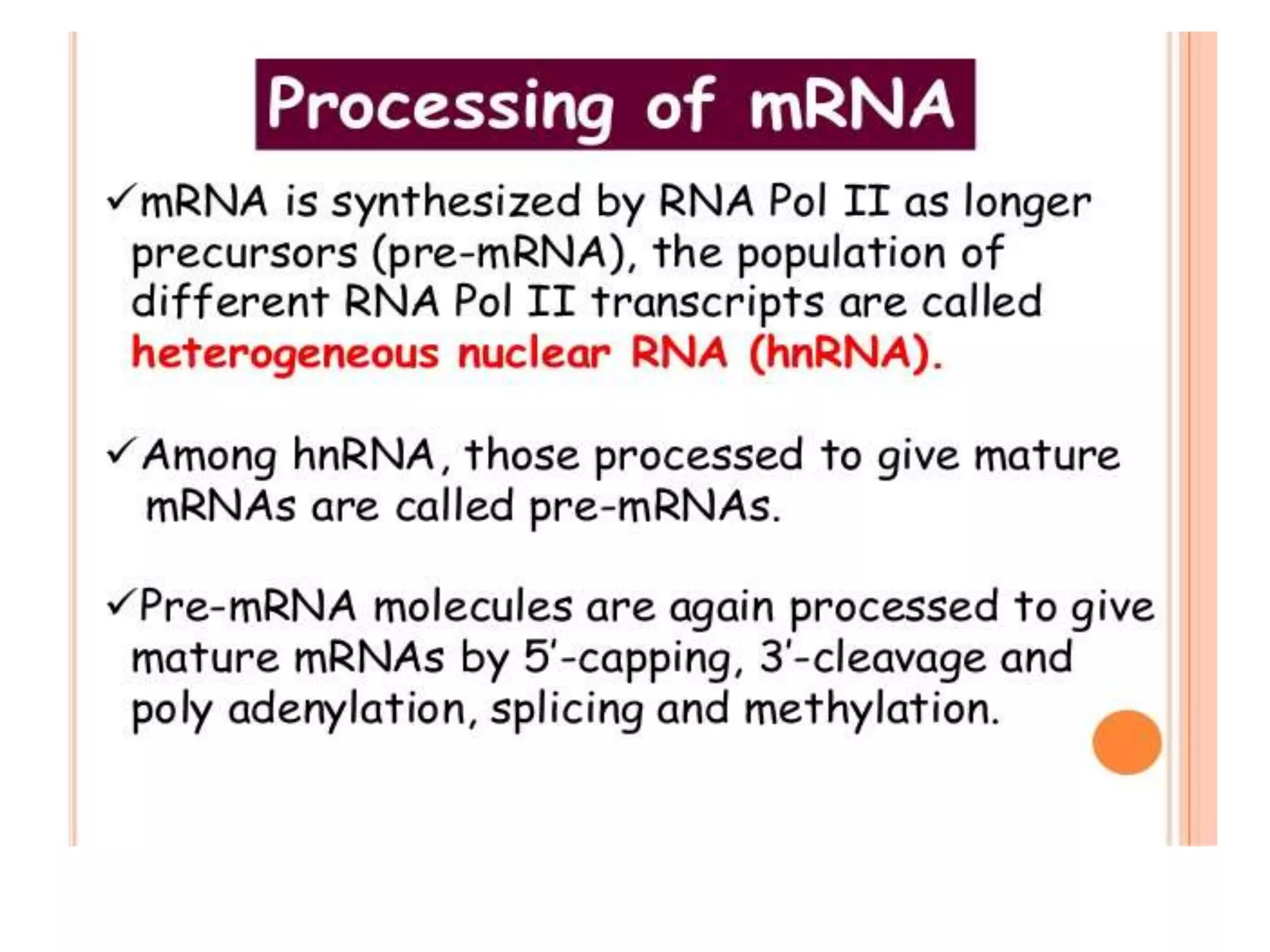RNA Processing: Post Transcriptional Modifications ,Splicing , Capping ,Poly A Tail, RNA Editing ...