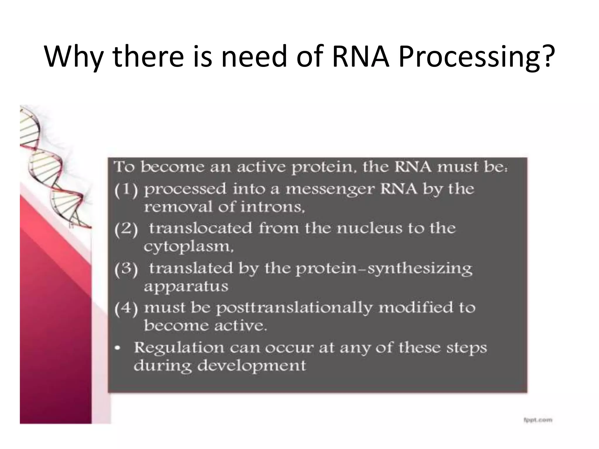 RNA Processing: Post Transcriptional Modifications ,Splicing , Capping ,Poly A Tail, RNA Editing ...
