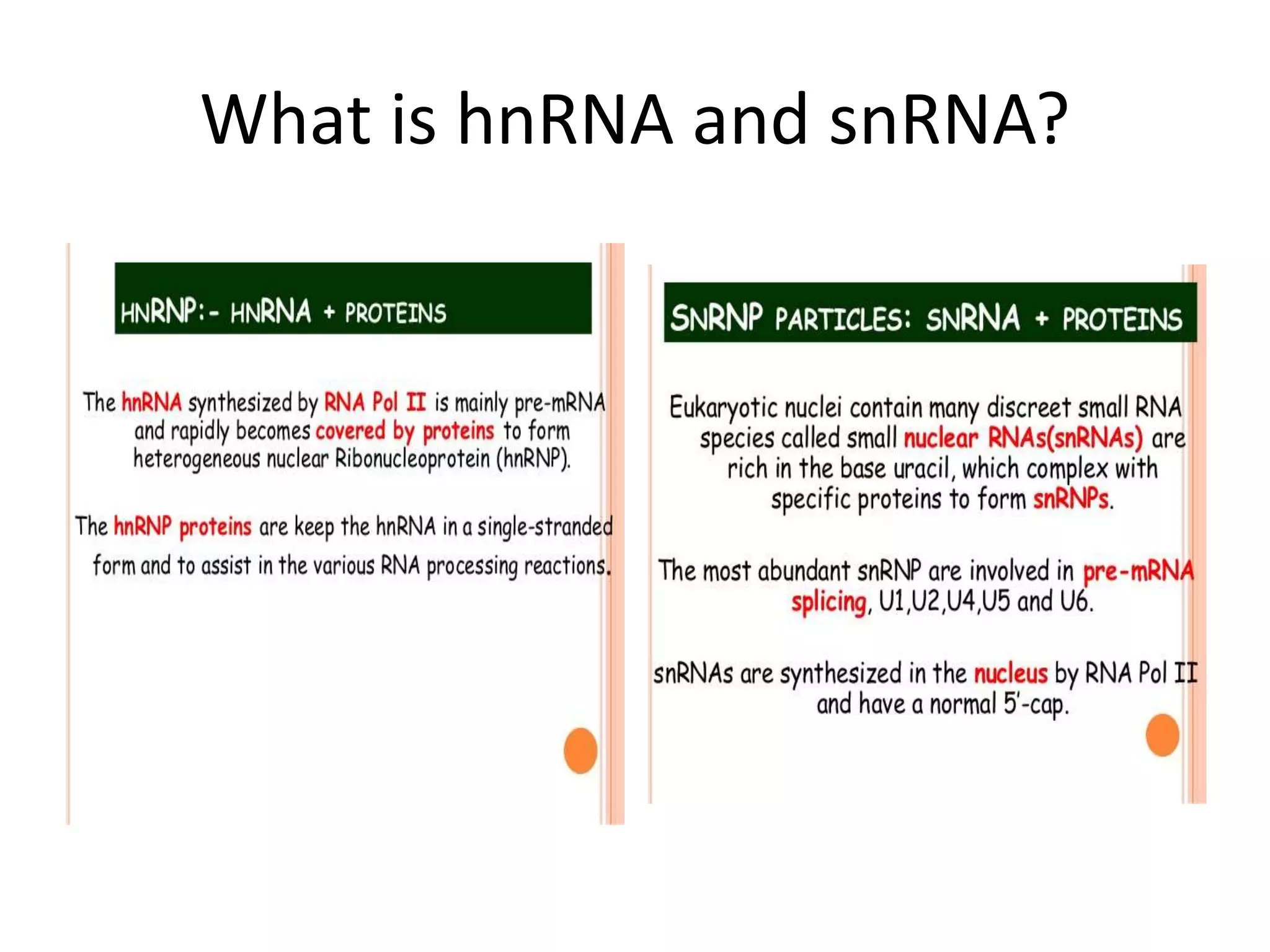 RNA Processing: Post Transcriptional Modifications ,Splicing , Capping ...