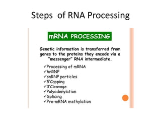 RNA Processing: Post Transcriptional Modifications ,Splicing , Capping ...
