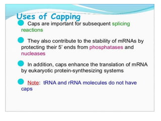 RNA Processing: Post Transcriptional Modifications ,Splicing , Capping ...
