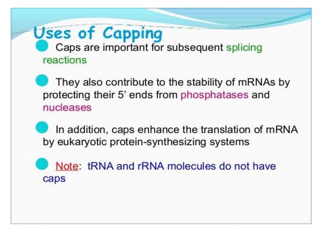 RNA Processing: Post Transcriptional Modifications ,Splicing , Capping ...