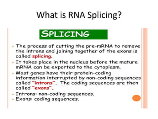 RNA Processing: Post Transcriptional Modifications ,Splicing , Capping ...