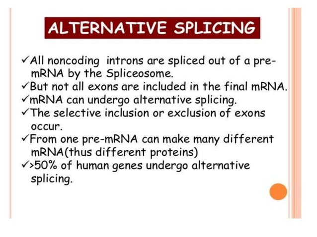 RNA Processing: Post Transcriptional Modifications ,Splicing , Capping ...