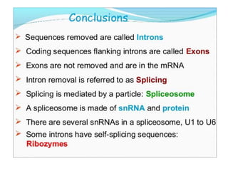 RNA Processing: Post Transcriptional Modifications ,Splicing , Capping ...