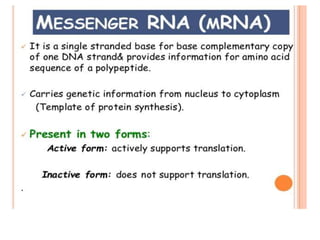 RNA Processing: Post Transcriptional Modifications ,Splicing , Capping ...