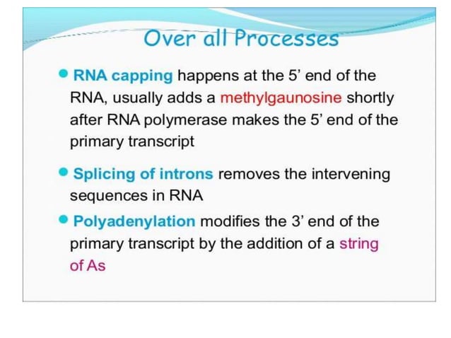 RNA Processing: Post Transcriptional Modifications ,Splicing , Capping ...