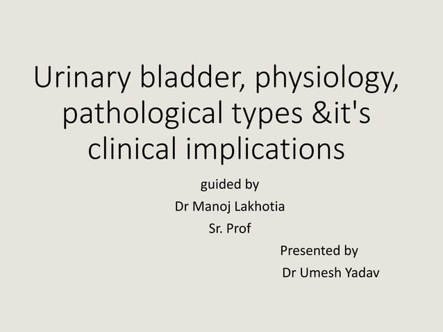 Bladder | PPT