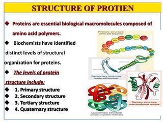 nullhhhhhhhggf toxic gghhhhh III iso.pptx