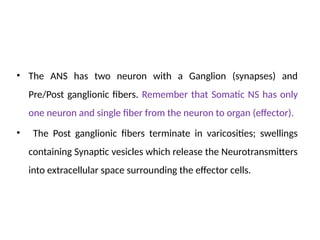 Human physiology ( editable tissues and Autonomic nervous system | PPT
