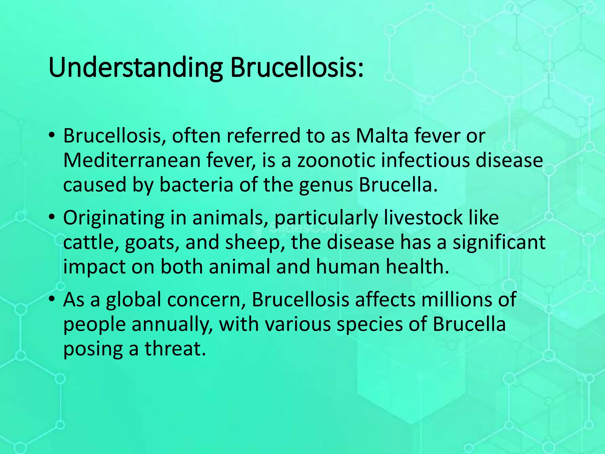 Unveiling Brucellosis: Understanding its Classifications, Diagnosis ...