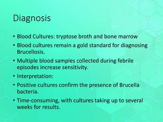 Unveiling Brucellosis: Understanding its Classifications, Diagnosis ...
