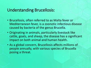 Unveiling Brucellosis: Understanding its Classifications, Diagnosis ...