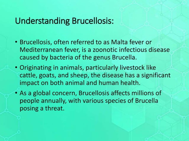Unveiling Brucellosis: Understanding its Classifications, Diagnosis ...