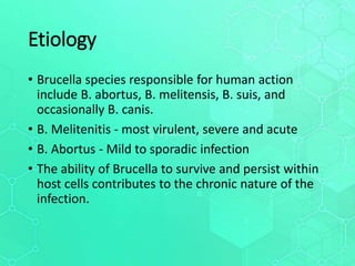 Unveiling Brucellosis: Understanding its Classifications, Diagnosis ...
