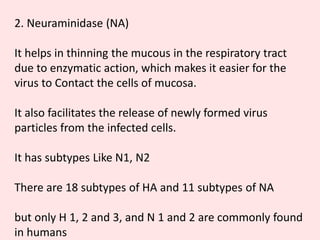 Antigenic structure of influenza virus, antigen drift and shift | PPTX