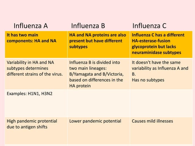 Antigenic structure of influenza virus, antigen drift and shift | PPTX ...